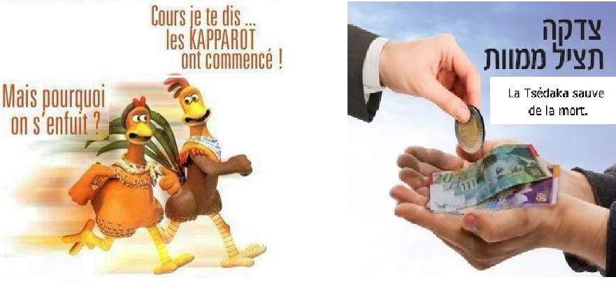 Les Kapparot 2ème Partie - Le Judaisme